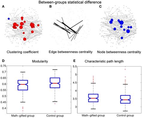 Between Groups Statistical Differences Of Topological Parameters When Download Scientific