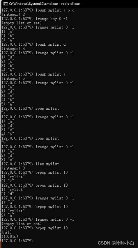 Redis详细介绍及在java中的应用java中resdis组件使用 Csdn博客