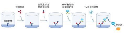 常规系列ELISA试剂盒 联科生物