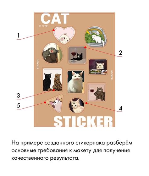 Enjoyprint Онлайн типография 2024 ВКонтакте