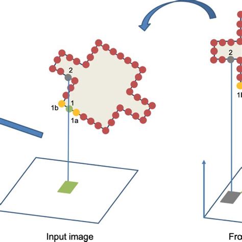 When An Object Is Rotated To Appear Frontal Some Of Its Vertices Have Download Scientific