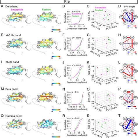 Cortical Lfp Power Of Individual Cortical Areas In The Pre Rest Session