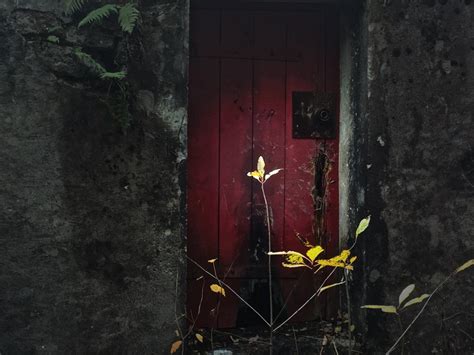 무료 이미지 빛 벽 빨간 색깔 어둠 검은 스크린 샷 3652015 Odm 텍스쳐 비예리 존스 365the2015edition Day303 흑 마술