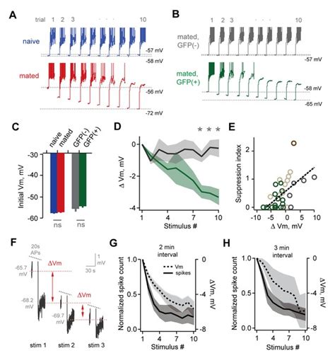 Neural Mechanisms Of Social Learning In The Female Mouse ELife