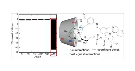 Design And Function Of Supramolecular Recognition Systems Based On Guest Targeting Probe