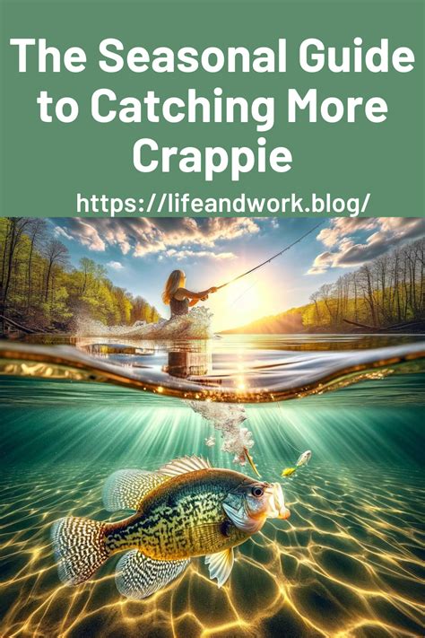 The Seasonal Guide To Catching More Crappie