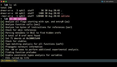 6 pro tricks for rapid macos malware triage with radare2 sentinellabs