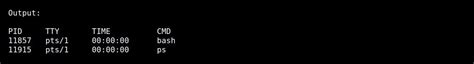 15 Basic Ps Command To Monitor Linux Process With Examples Linuxteck