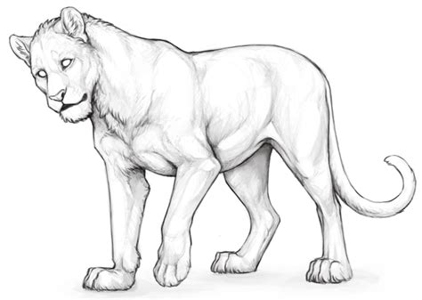 Community Update 184 Lioden