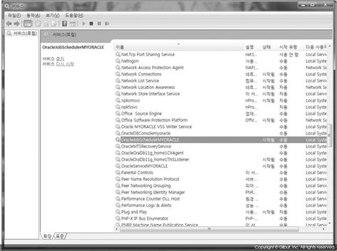 오라클 sql과 pl sql을 다루는 기술 외부 프로그램 수행 2
