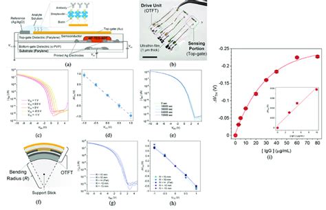 Flexible Otft Based Immunosensor And Its Corresponding Electrical
