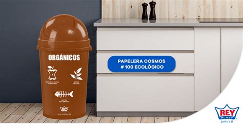¿cómo Promover El Reciclaje En La Escuela Reyplast