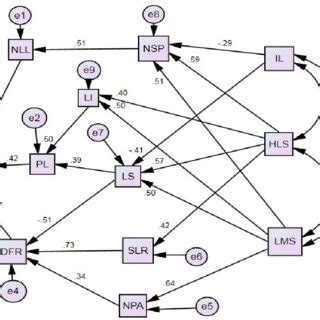 Path Analysis Diagram Illustrating The Associations Among Morphological Download Scientific