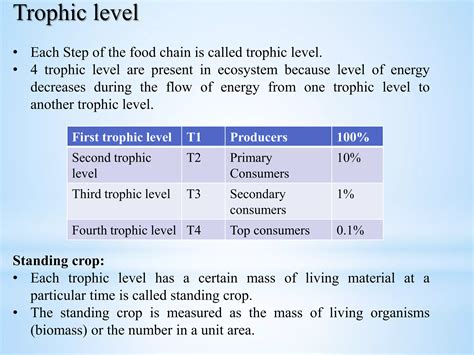 Ch 14 Ecosystem Class 12 Ppt