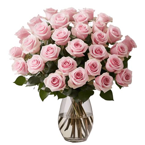 Order Pink Roses Online Bulk Pink Roses Delivery