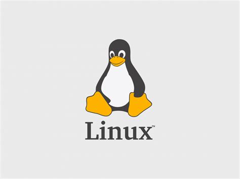 Linux Commands Frequently Used Vietnamdong Netsec Homelab
