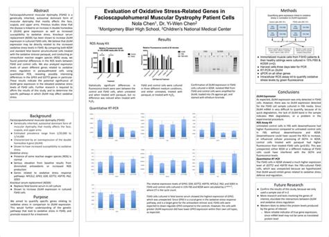 Srp Poster