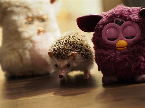 FastAPI を使ってWEBアプリを作ってみる その nMoMo s