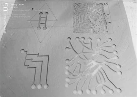 Proskin Graphene Architecture