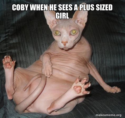 Coby When He Sees A Plus Sized Girl Hairless Cat Meme Generator