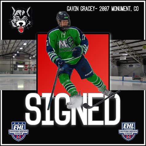 Ne Wolves The Wolves Are Pleased To Announce The Signing Of Gavin