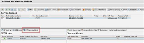 Parameterized Cds View With Odata Sapcodes