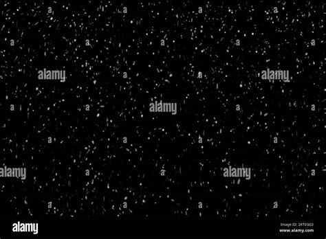 Snowflakes Falling Down On Black Background Heavy Snow Flakes Isolated Flying Rain Overlay