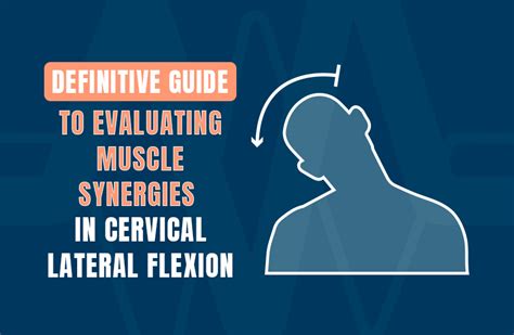 Definitive Guide Muscle Synergies Cervical Lateral Flexion