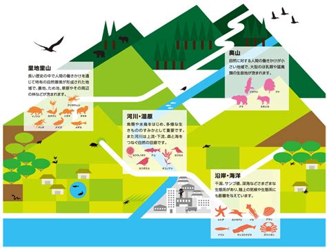 エコシステムとは？言い換えると？企業の取り組み事例やプラットフォームとの違いをわかりやすく解説 Spaceship Earth（スペース