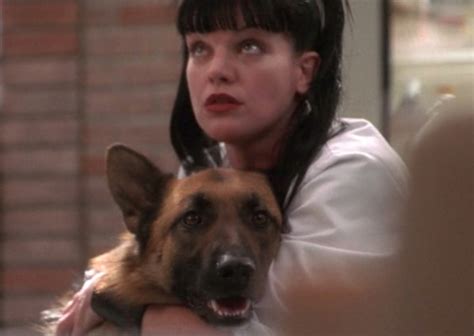 Jethro Ncis Database Fandom