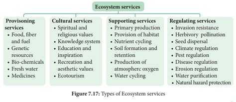 Functions Of Ecosystem