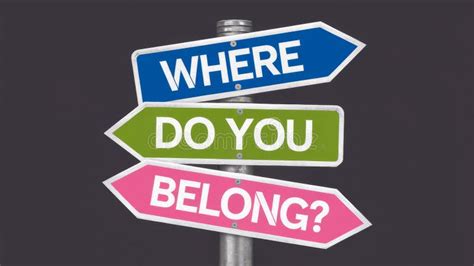 Signpost With Where Do You Belong Question Stock Image Image Of