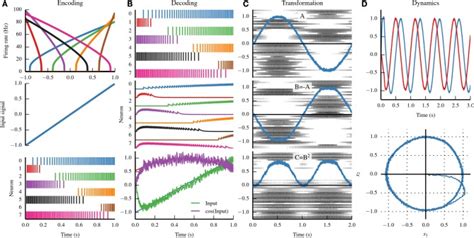 Summary Of The Three Principles Of The Neural Engineering Framework