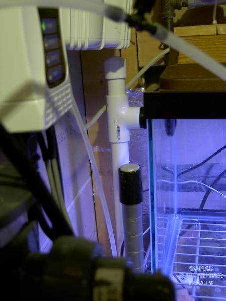 Fuge Overflow Member S Gallery WAMAS Forums