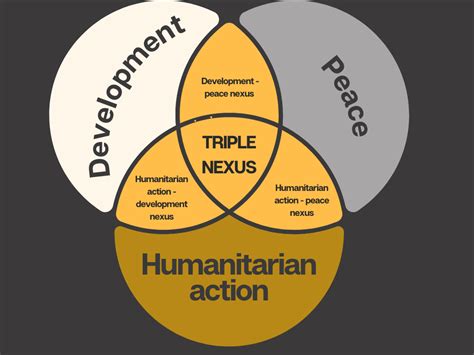 Triple Nexus Humanitarian Action Development Peace Iecah