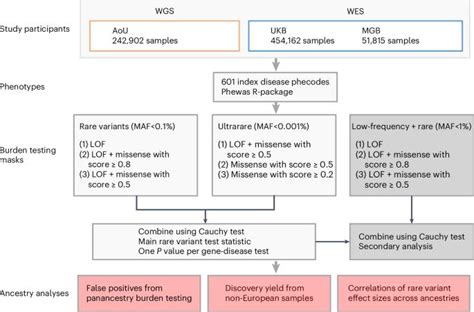 Rare Coding Variant Analysis For Human Diseases Across Biobanks And