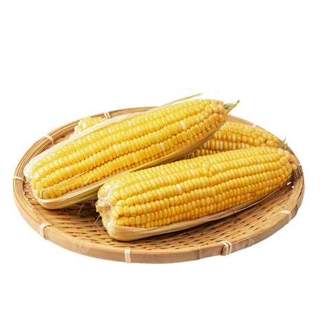 Gambar Foto Sepiring Biji Jagung Biji Jagung Kuning K