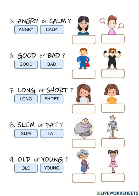 Opposite Adjectives Worksheet For Primary School Artofit