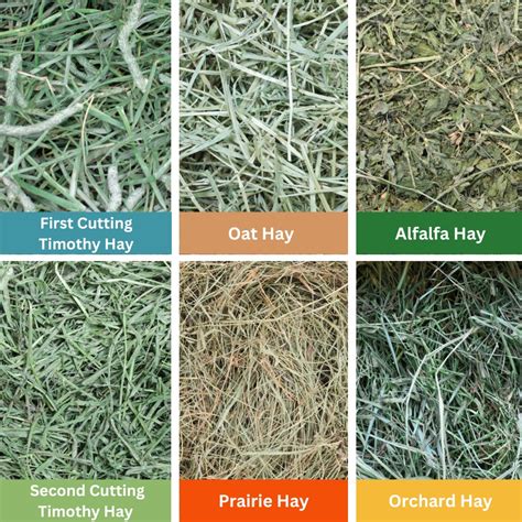 Hay Variety Box Packed With An Assortment Of Premium Hays