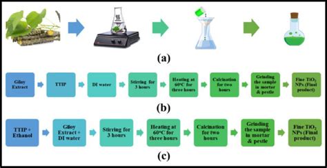 A The Schematic Diagram Of Preparing The Plant Extract B The