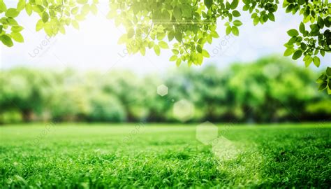 Spring Grass Background Download Free Banner Background Image On Lovepik 401900041