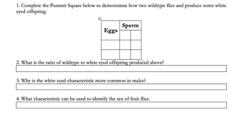 Solved 1 Complete The Punnett Square Below To Demonstrate How Two