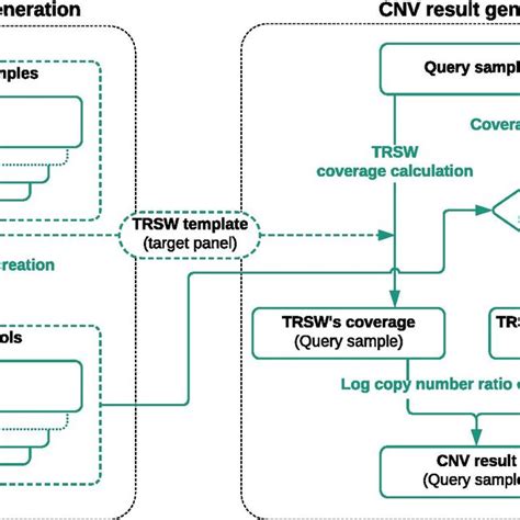 The General Workflow For Cnv Detection In Static Pool Generation” A