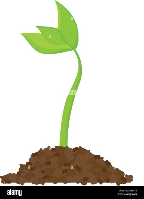 Simple Sprouting Seed Drawing Sprout Plant Tree Growing Agriculture Icons Vector