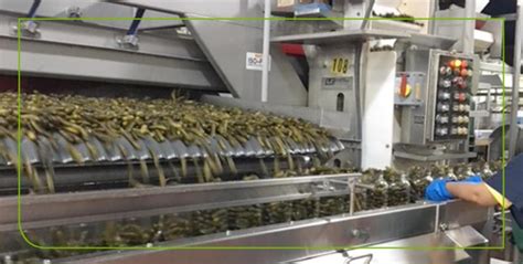 Allison Read Posted On Linkedin