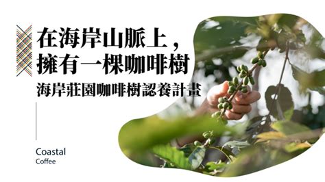 在海岸山脈上擁有一棵咖啡樹海岸莊園咖啡樹認養計畫 WaBay 挖貝 台灣最值得信賴的群眾集資 群眾募資平台