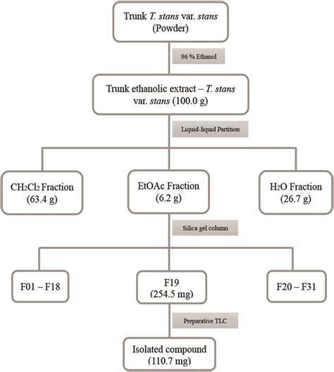 Fractionation Of The Ethanolic Extract From T Stans Var Stans Trunk