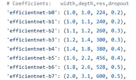 Efficientnet Brightczys Site