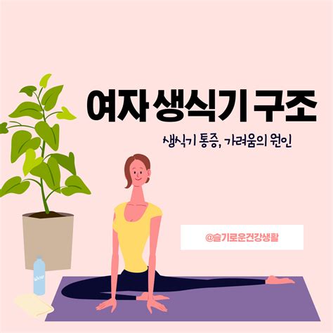 여자 생식기 구조 및 질길이 여자 생식기 혹 질냄새 질통증 따가움 원인 네이버 포스트