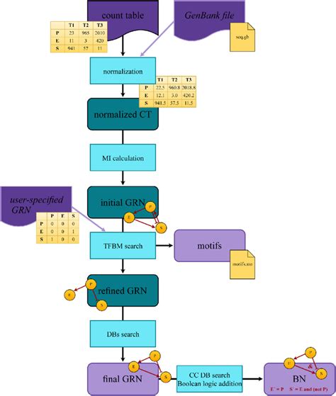 Augusta Pipeline Input Files A Count Table And A Genbank File Are Download Scientific